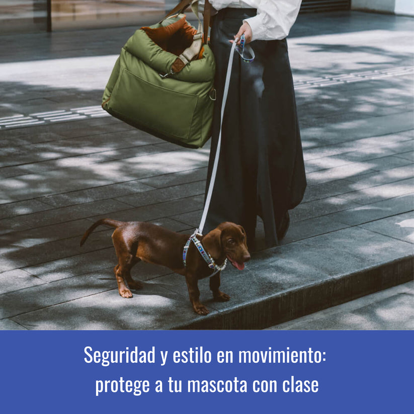 Cama Portable – Horizonte Animal